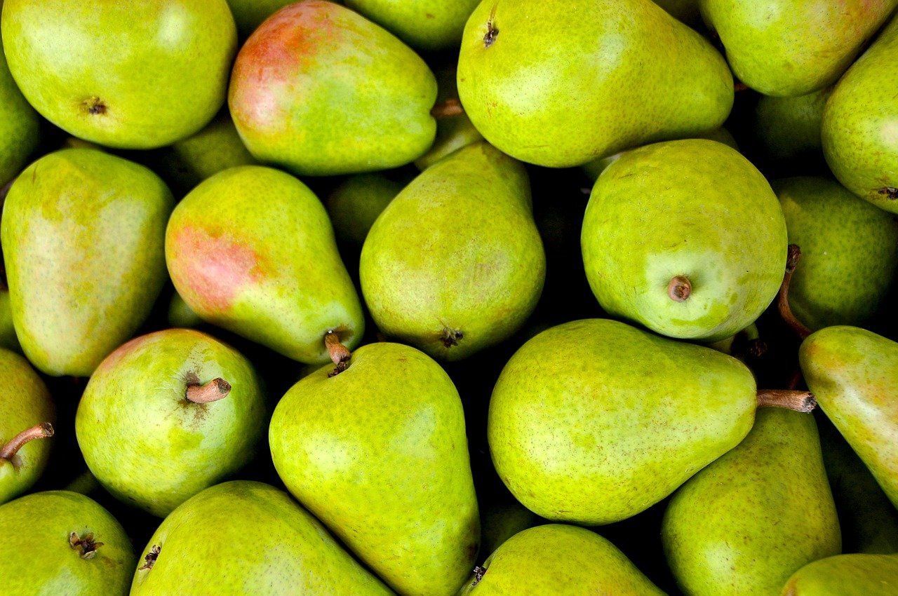Bienfaits de la poire : atouts nutritionnels et conseils santé